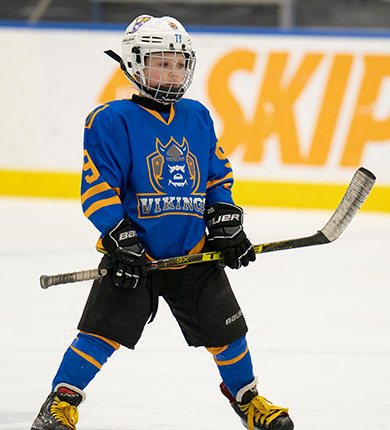 Vikings Hockey Academy